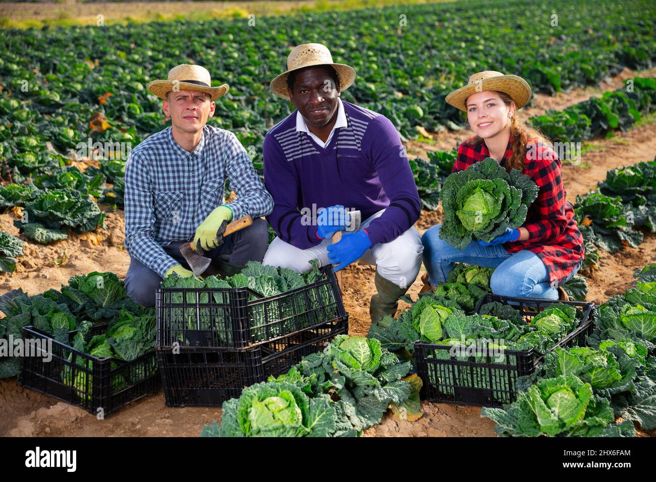 Portrait three farmers smiling posing hi-res stock photography and ...