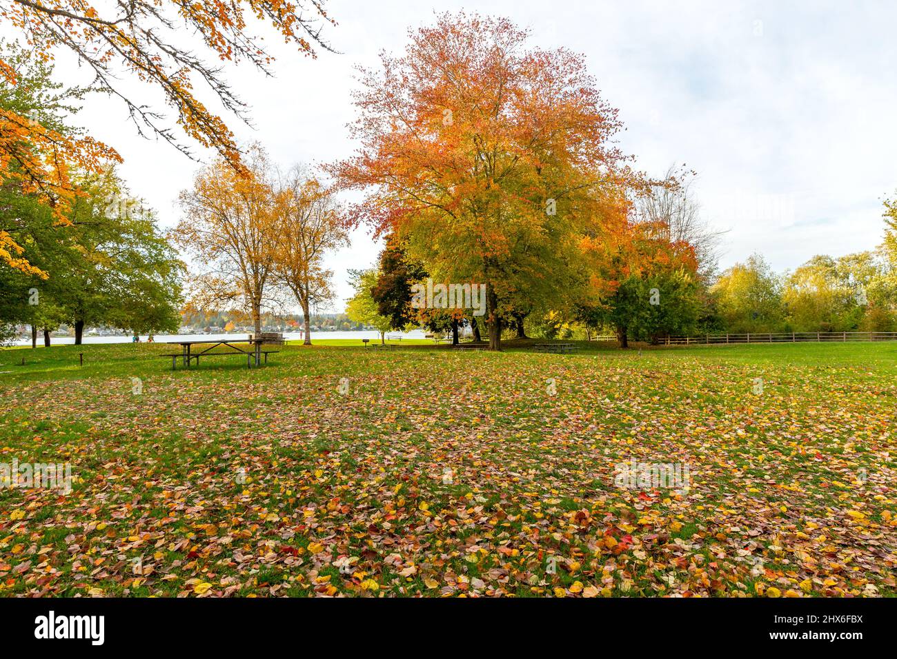 Lake Sammamish State Park in Autumn Stock Photo - Alamy