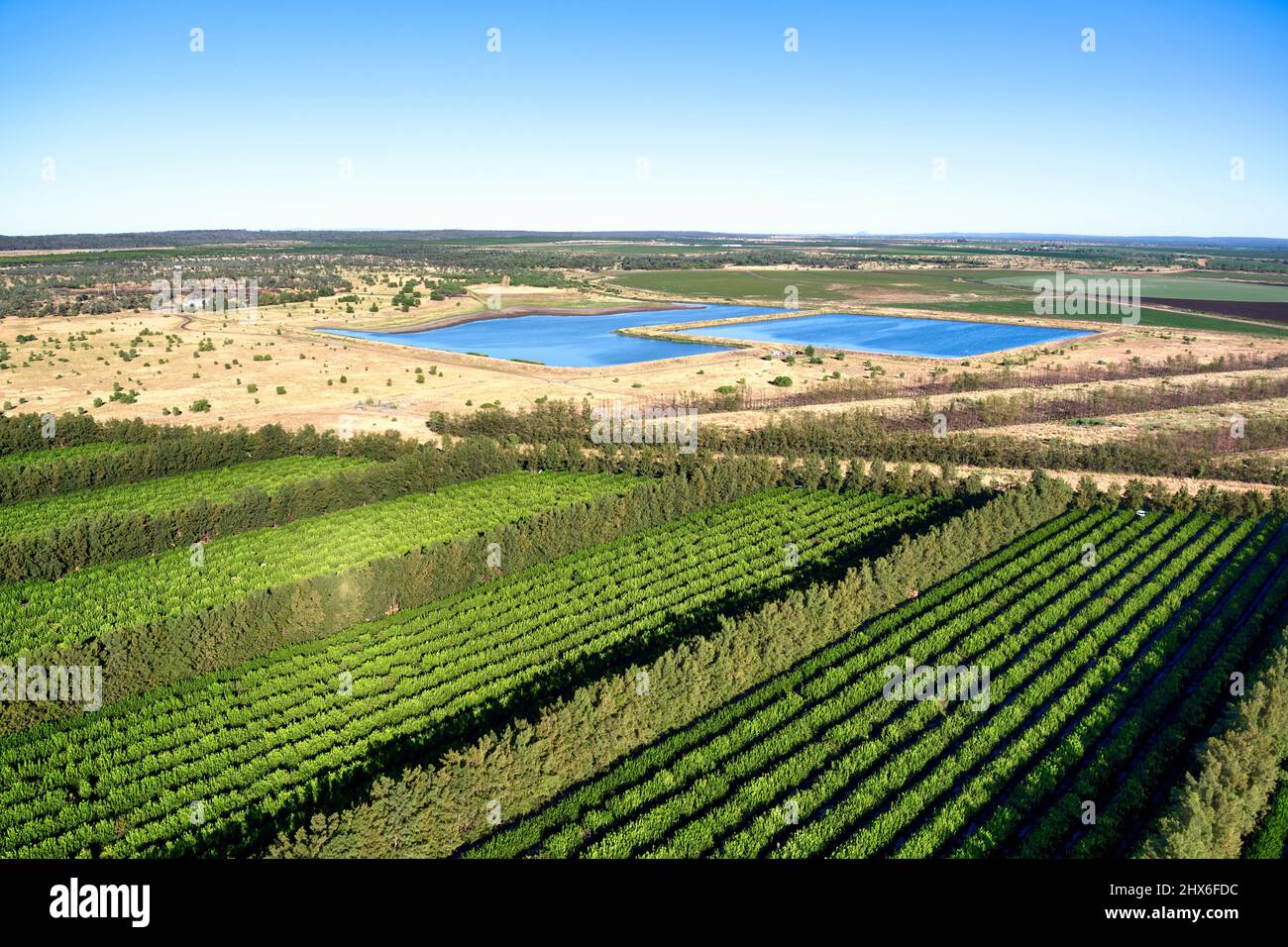 Aerial of 2PH Citrus Orchards in Emerald Queensland Australia Stock ...
