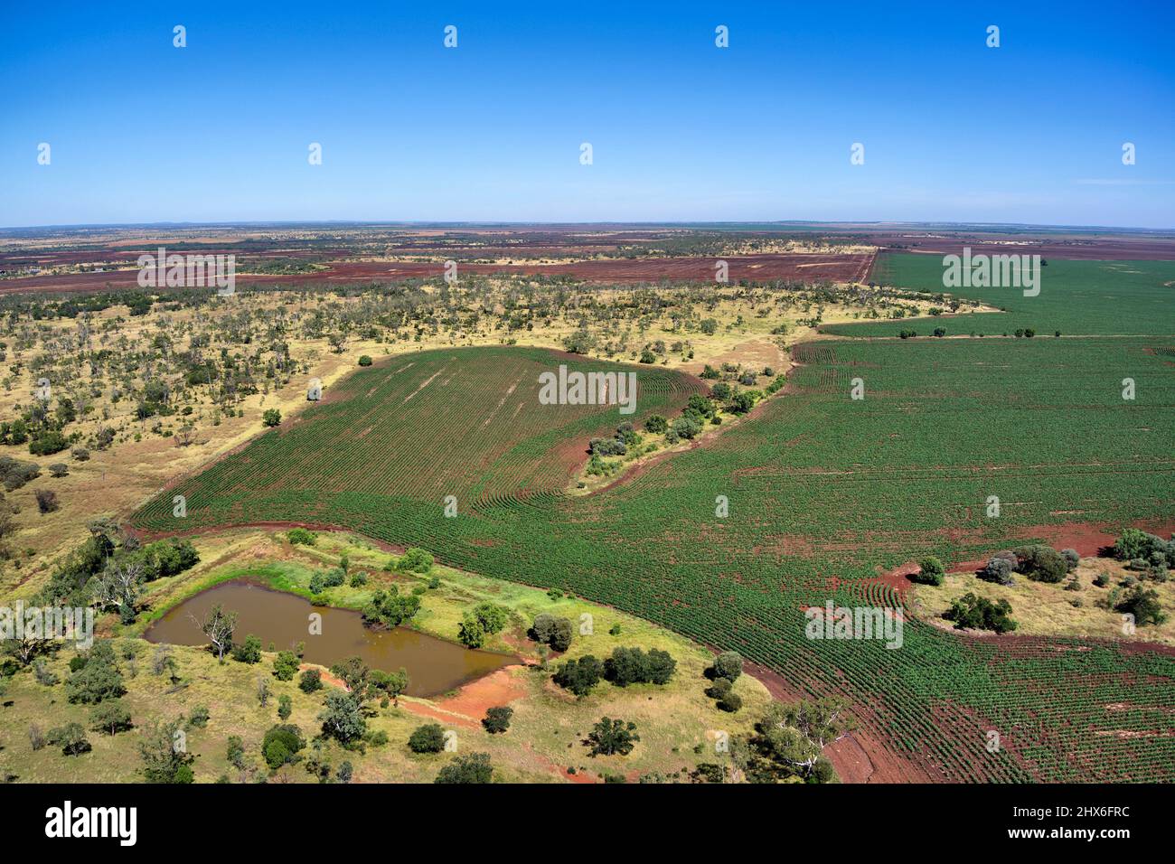 Aerial of broadacre crop sorgum next to the Peak Downs Highway near ...