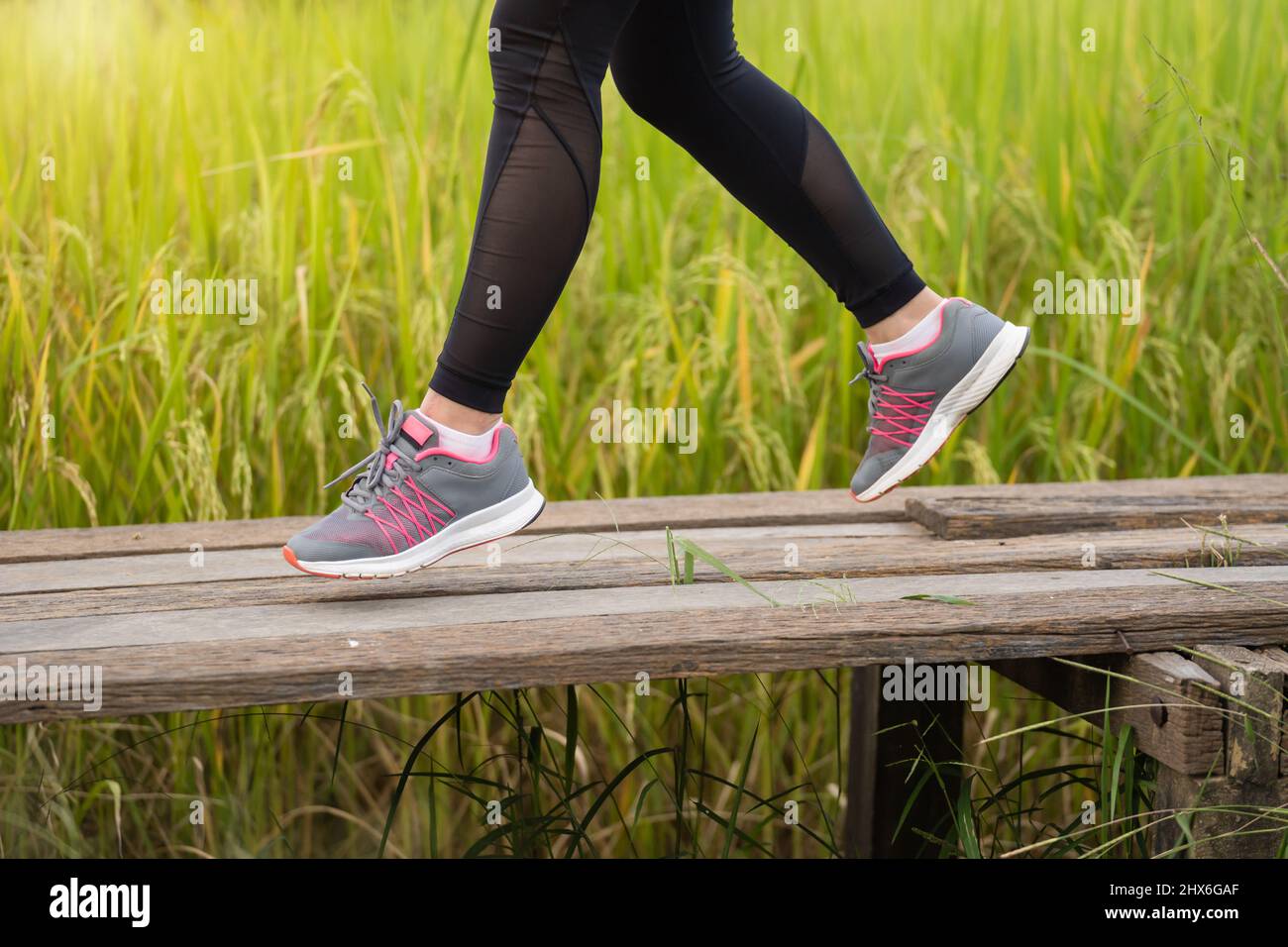 closeup woman feet running on wooden path in field Stock Photo - Alamy