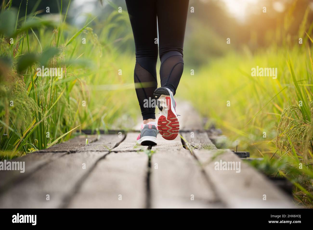 closeup woman feet running on wooden path in field Stock Photo - Alamy