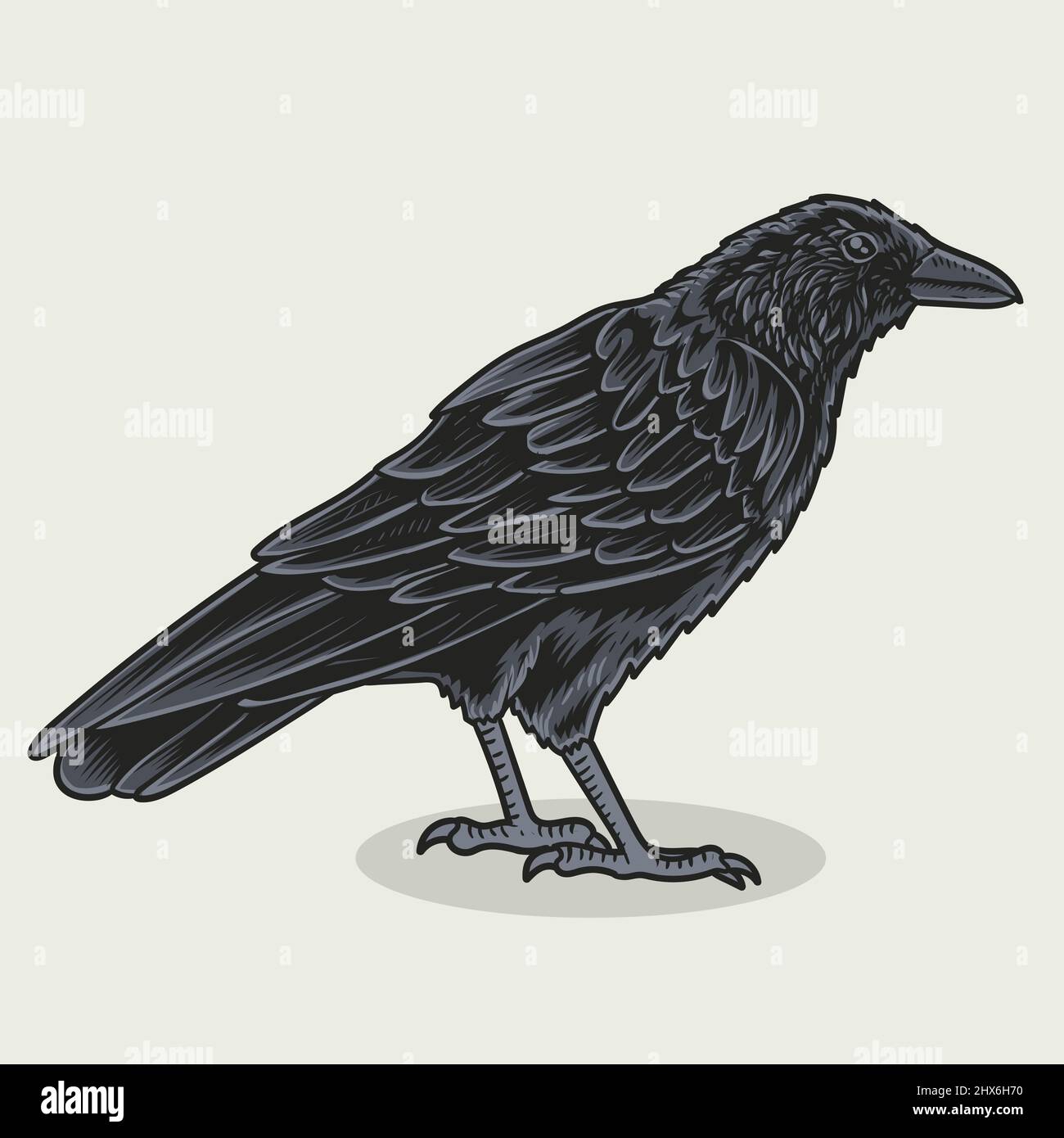 O white Stock Vector Images - Alamy