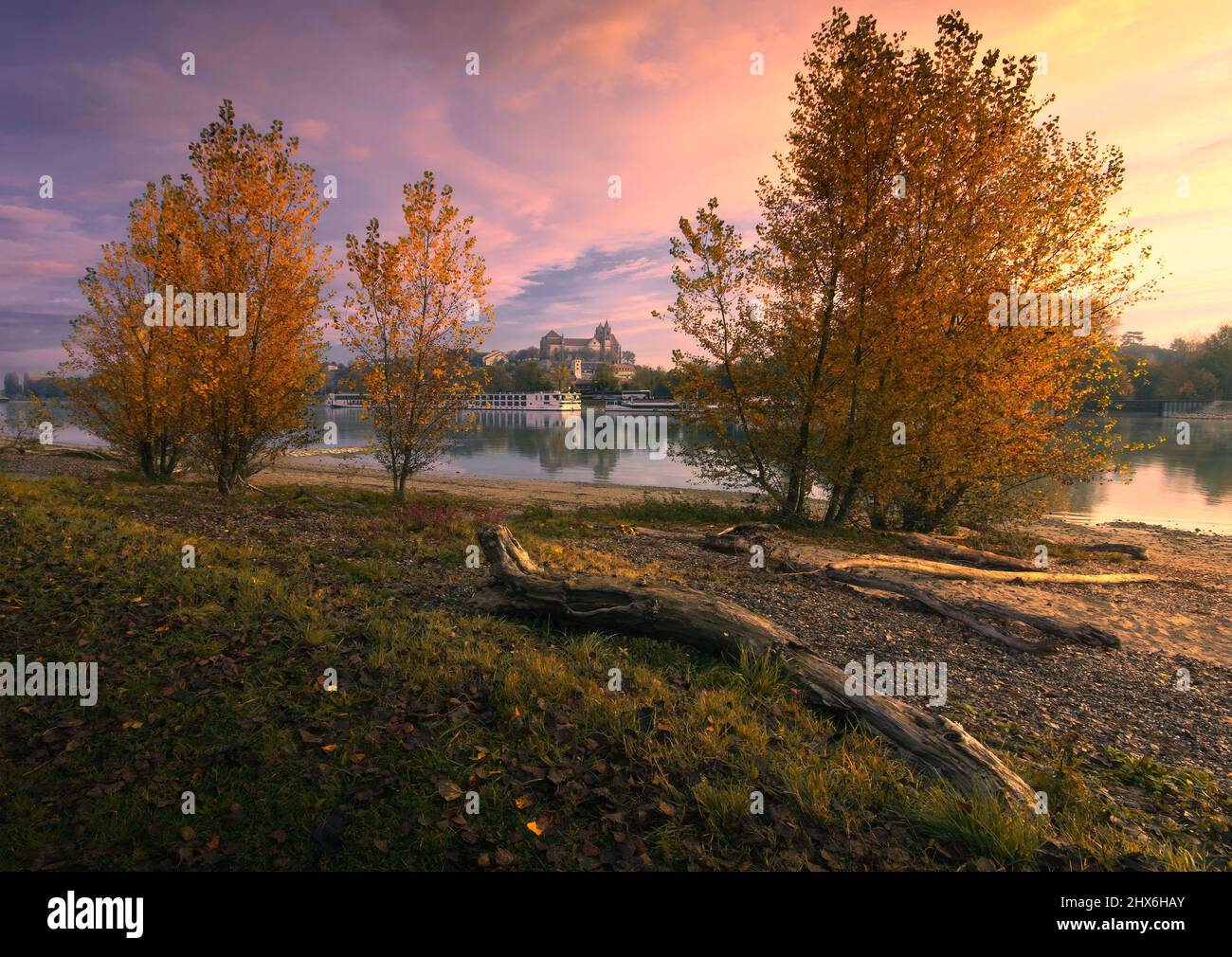 historic cathedral and river rhine in breisach am rhein Stock Photo - Alamy