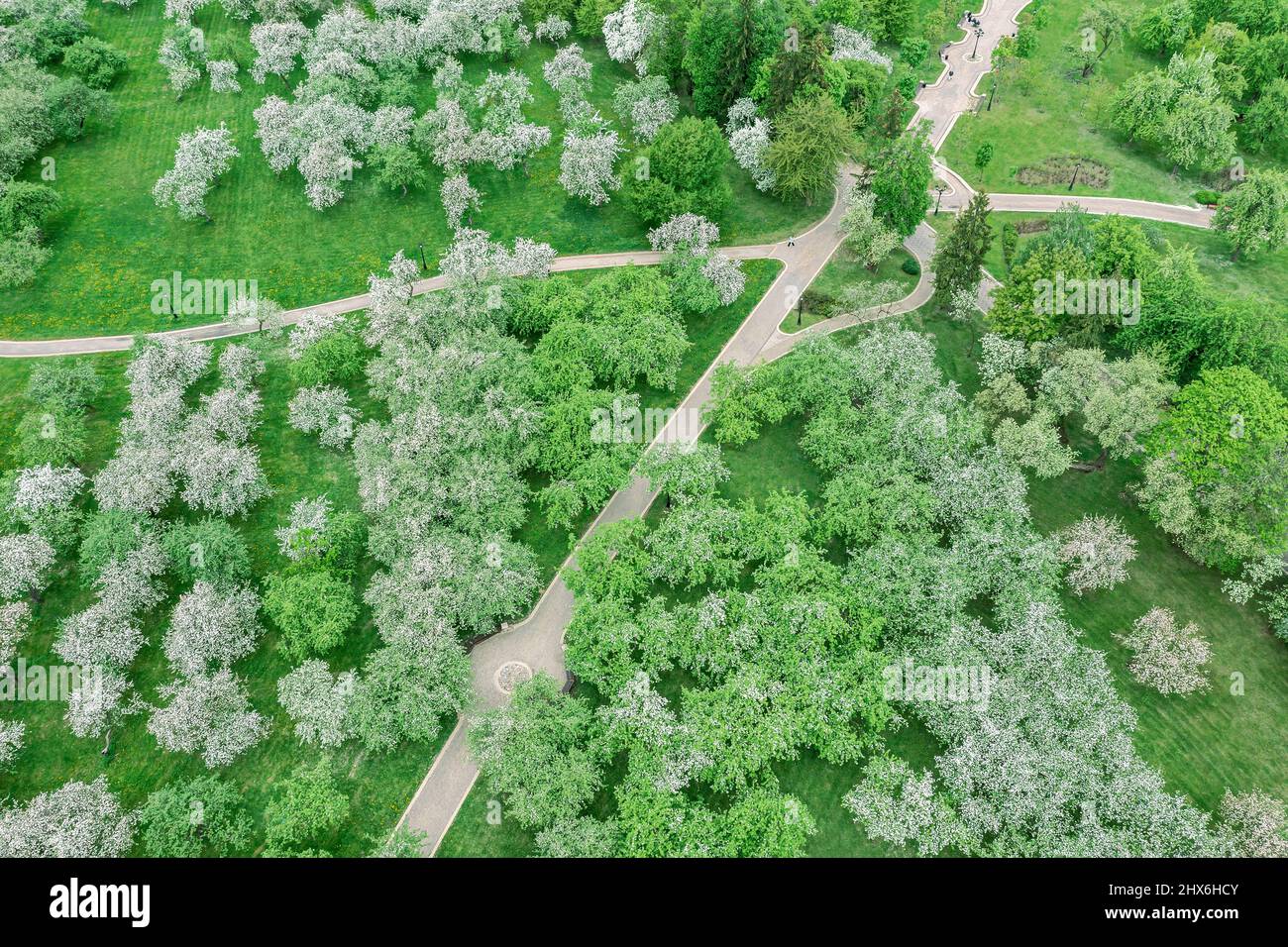 Path through orchard hi-res stock photography and images - Alamy