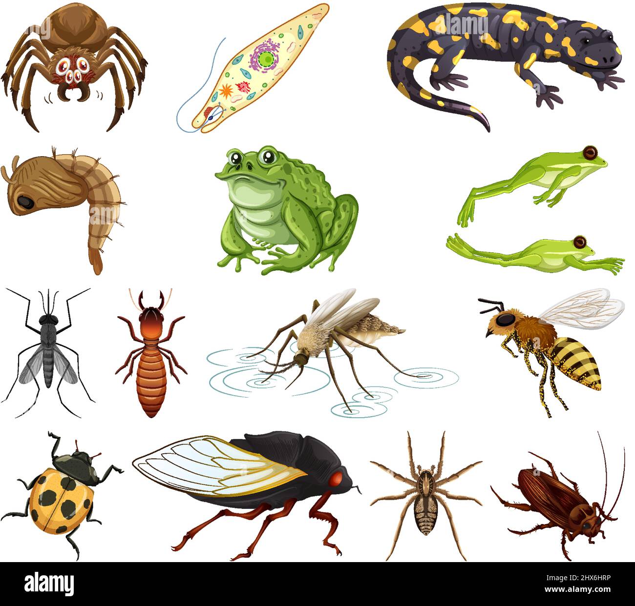Different kinds of insects and animals on white background illustration ...