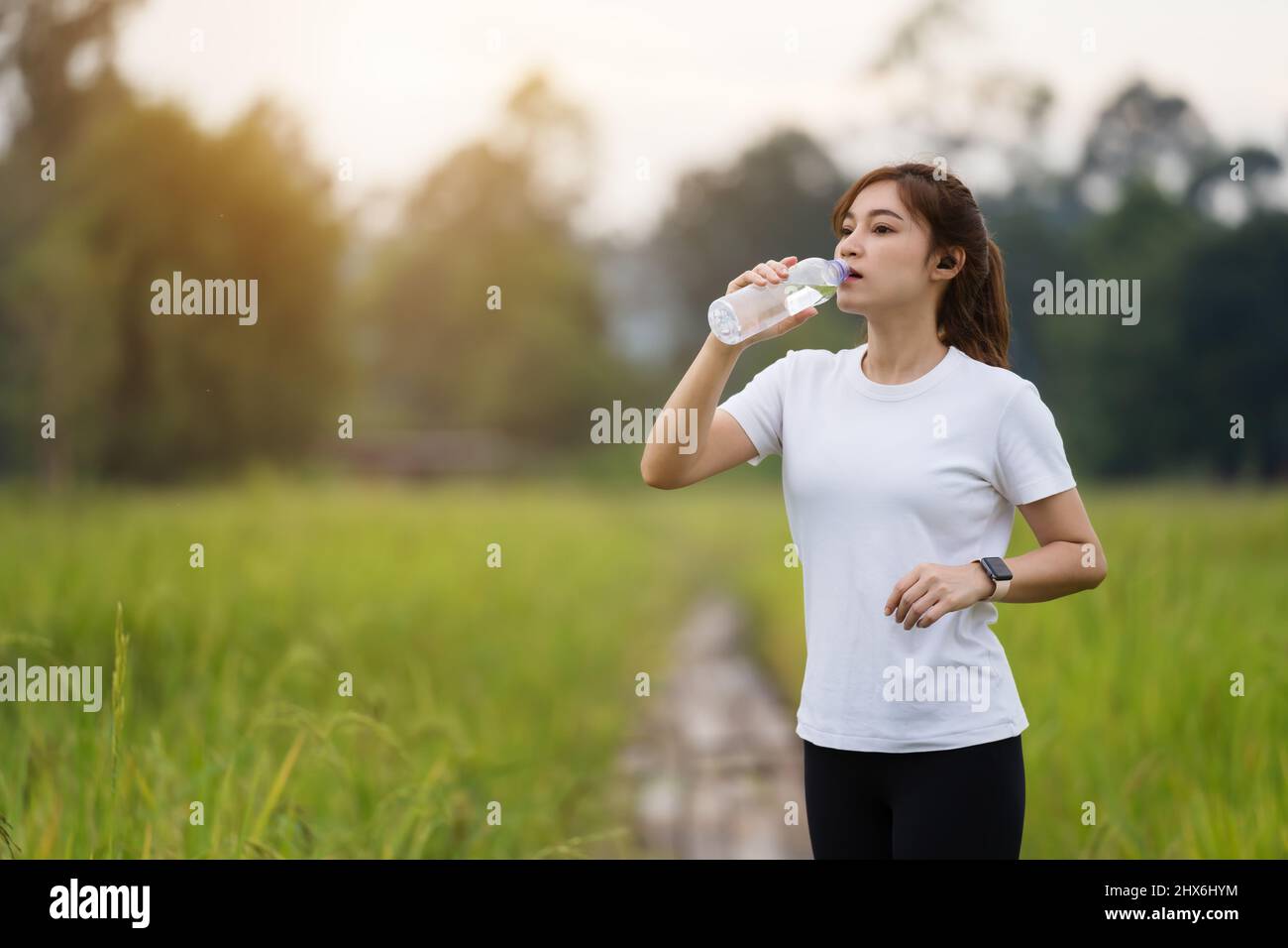 sporty woman drinking water after running in the field Stock Photo - Alamy