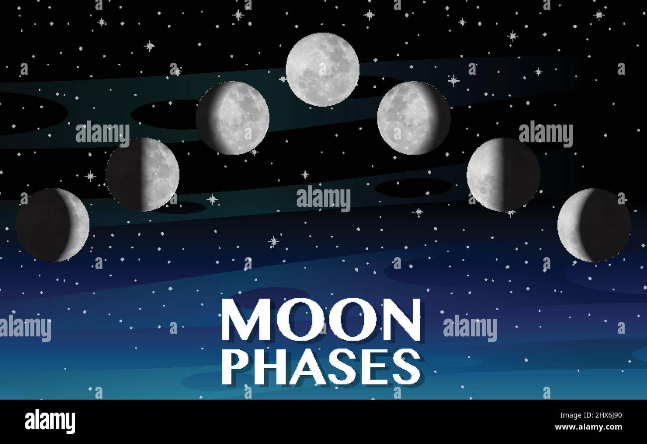 Phases of the moon for science education illustration Stock Vector ...