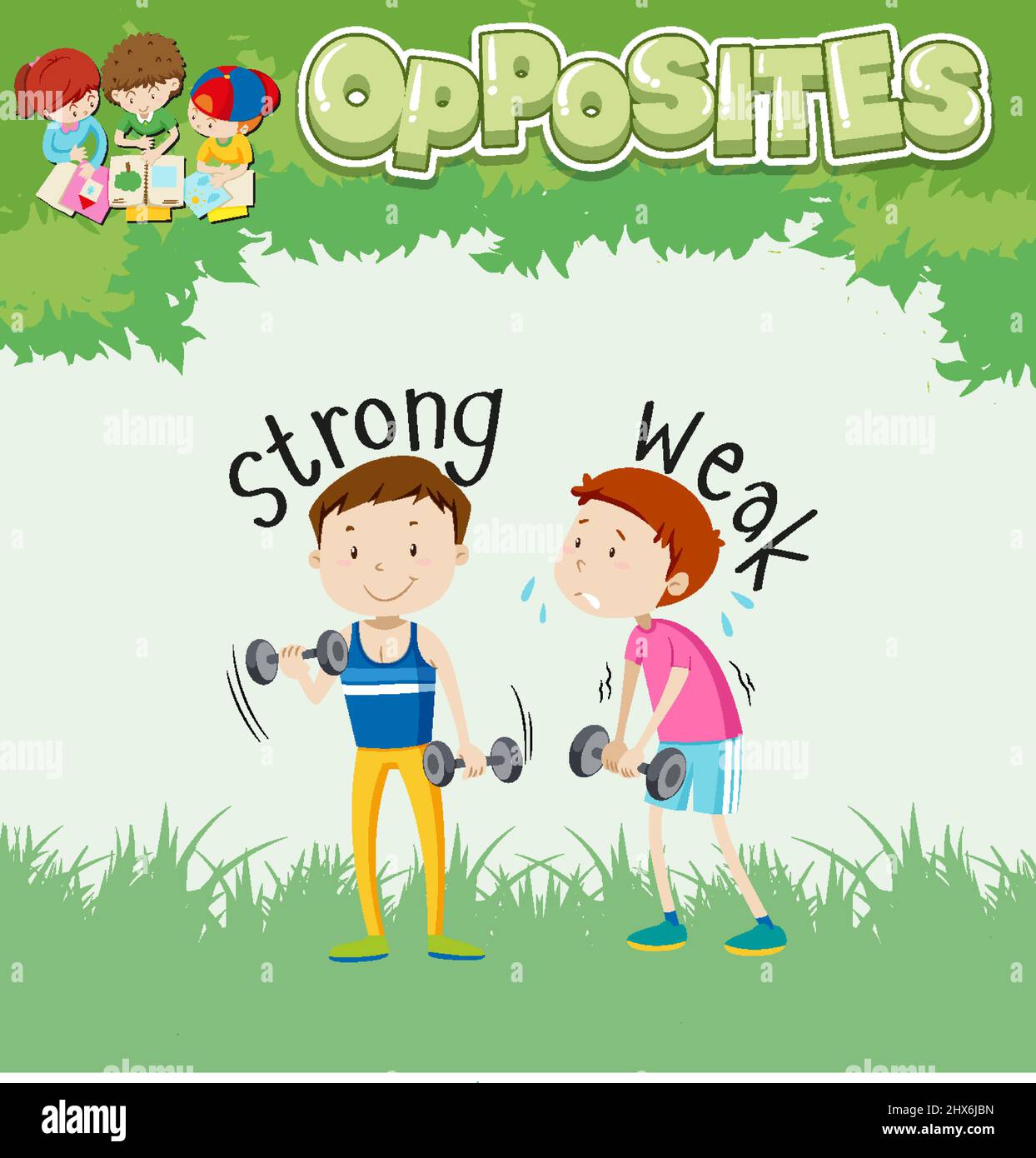 Opposite words for strong and weak illustration Stock Vector Image ...