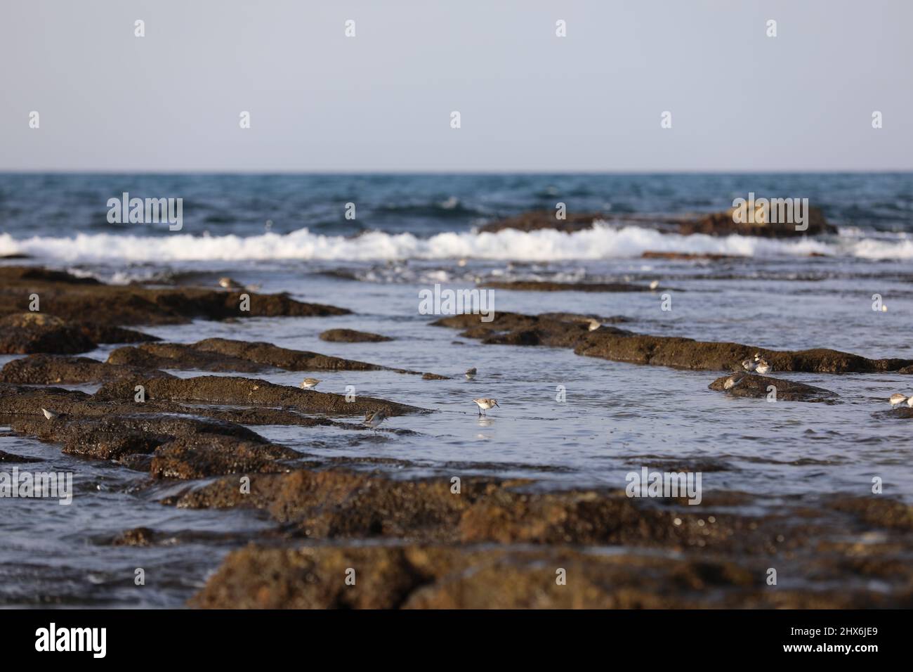 Landscape of rock and sea High quality Stock Photo - Alamy
