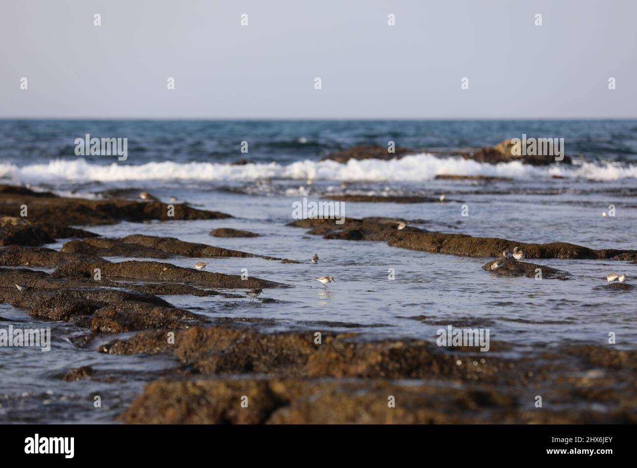 Landscape of rock and sea High quality Stock Photo - Alamy