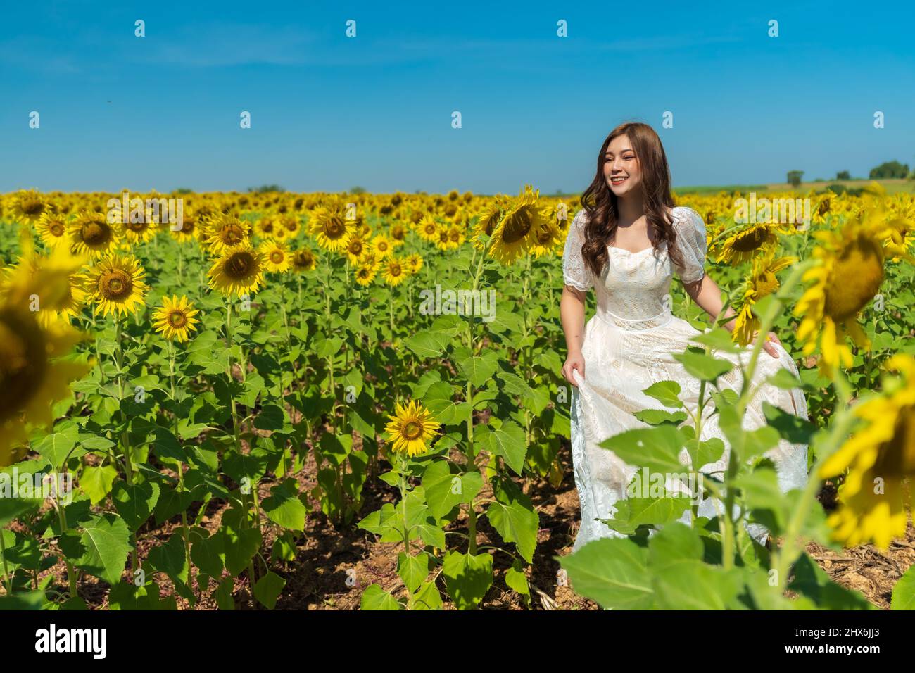 cheerful woman walking and enjoying with sunflower field Stock Photo ...