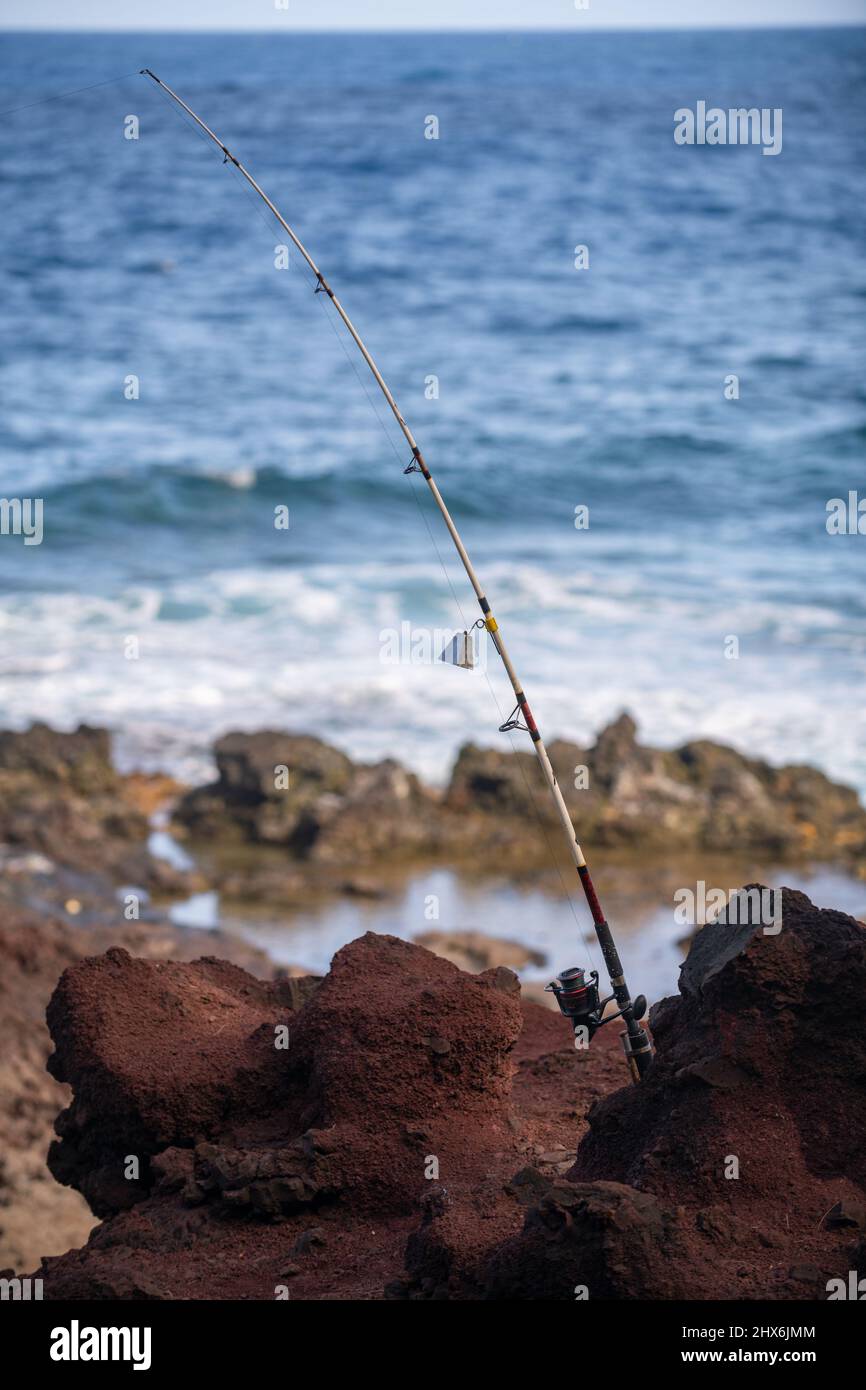 Catch fich hi-res stock photography and images - Alamy