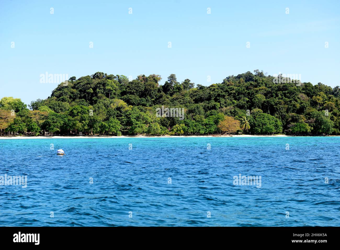 Koh Rok (Rok Island) is a small archipelago in southern Thailand in the ...