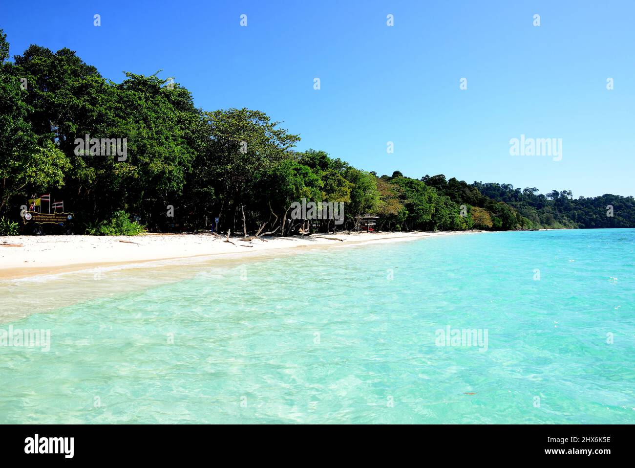 Koh Rok (Rok Island) is a small archipelago in southern Thailand in the ...