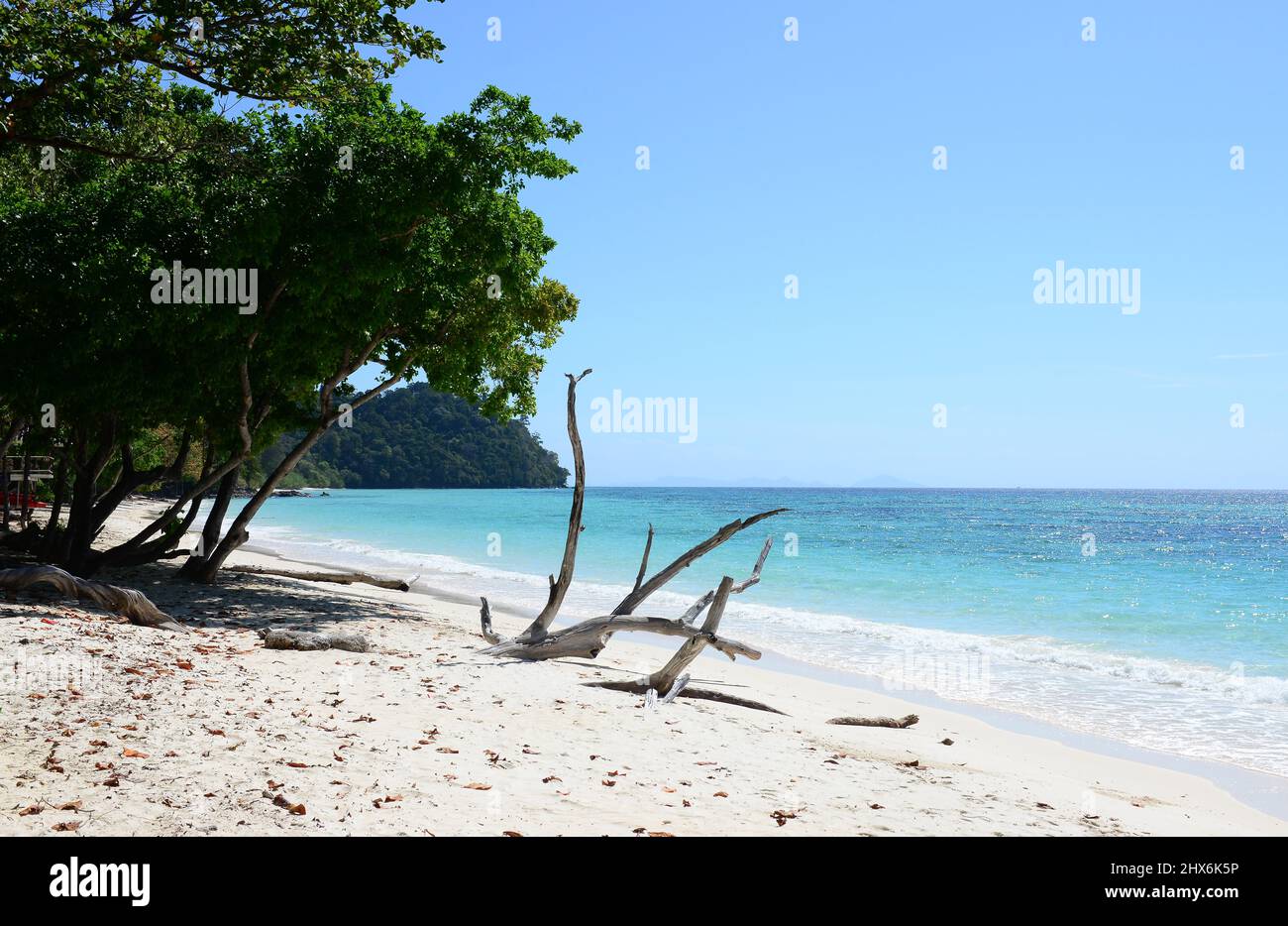 Koh Rok (Rok Island) is a small archipelago in southern Thailand in the ...