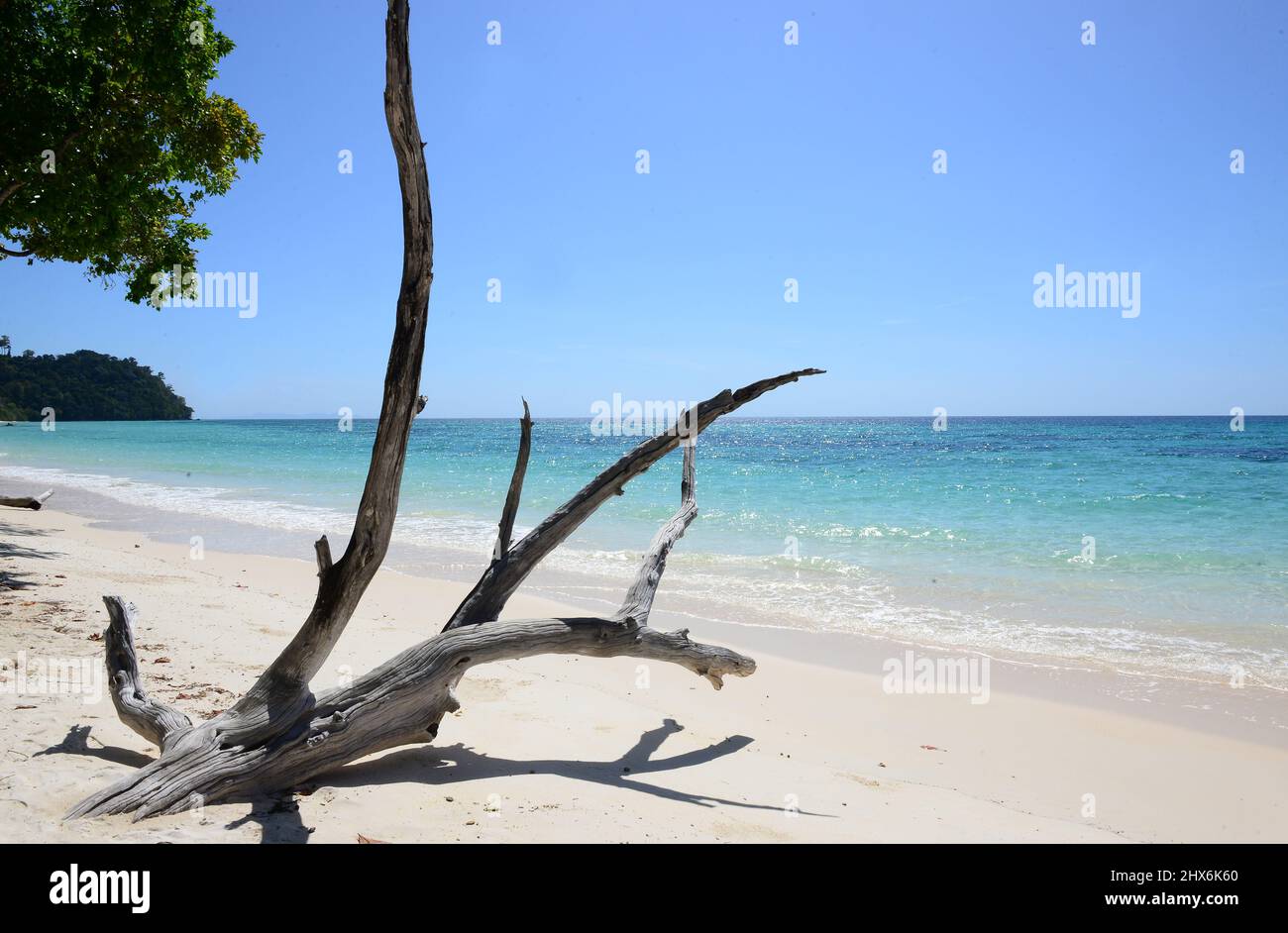 Koh Rok (Rok Island) is a small archipelago in southern Thailand in the ...