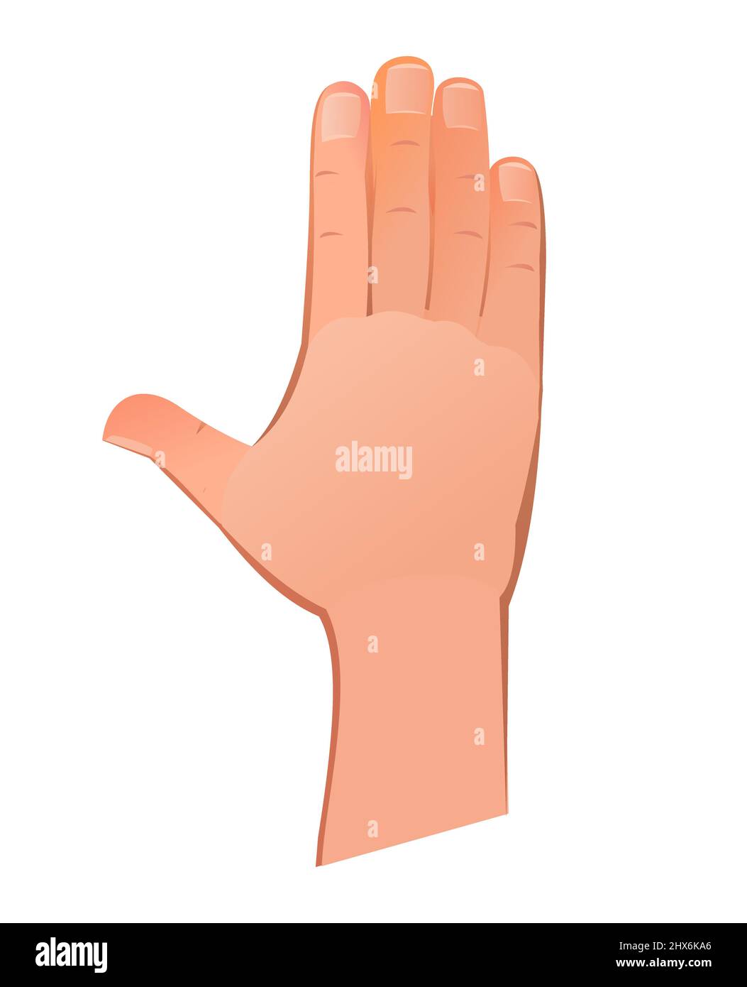 Hand raised up. Object isolated on white background. Funny cartoon ...