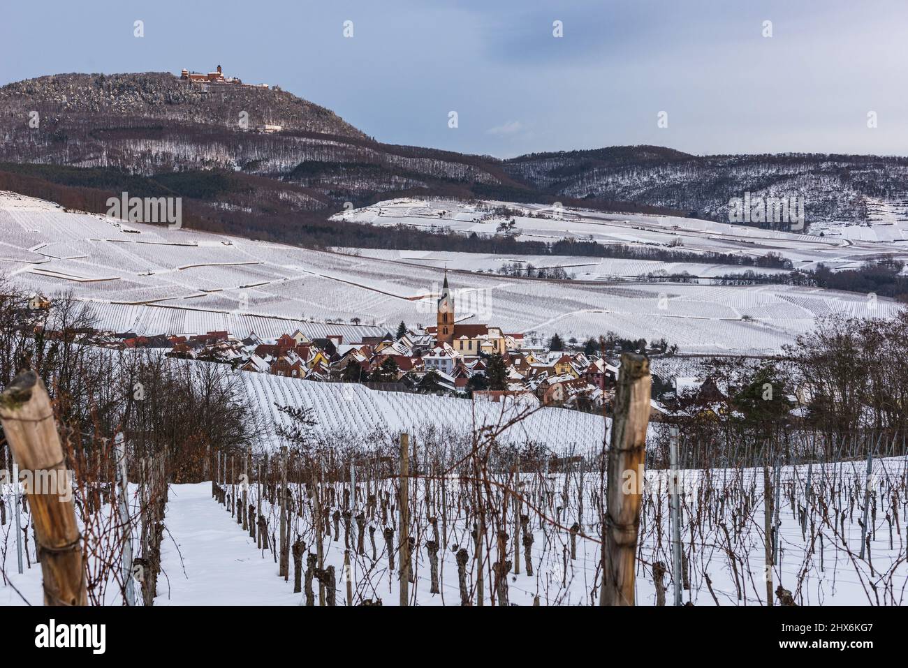 Alsace vineyard winter hi-res stock photography and images - Alamy
