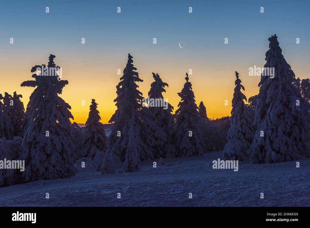 FRANCE, Alsace, Haut-Rhin (68), Ballons des Vosges Regional Nature Park ...