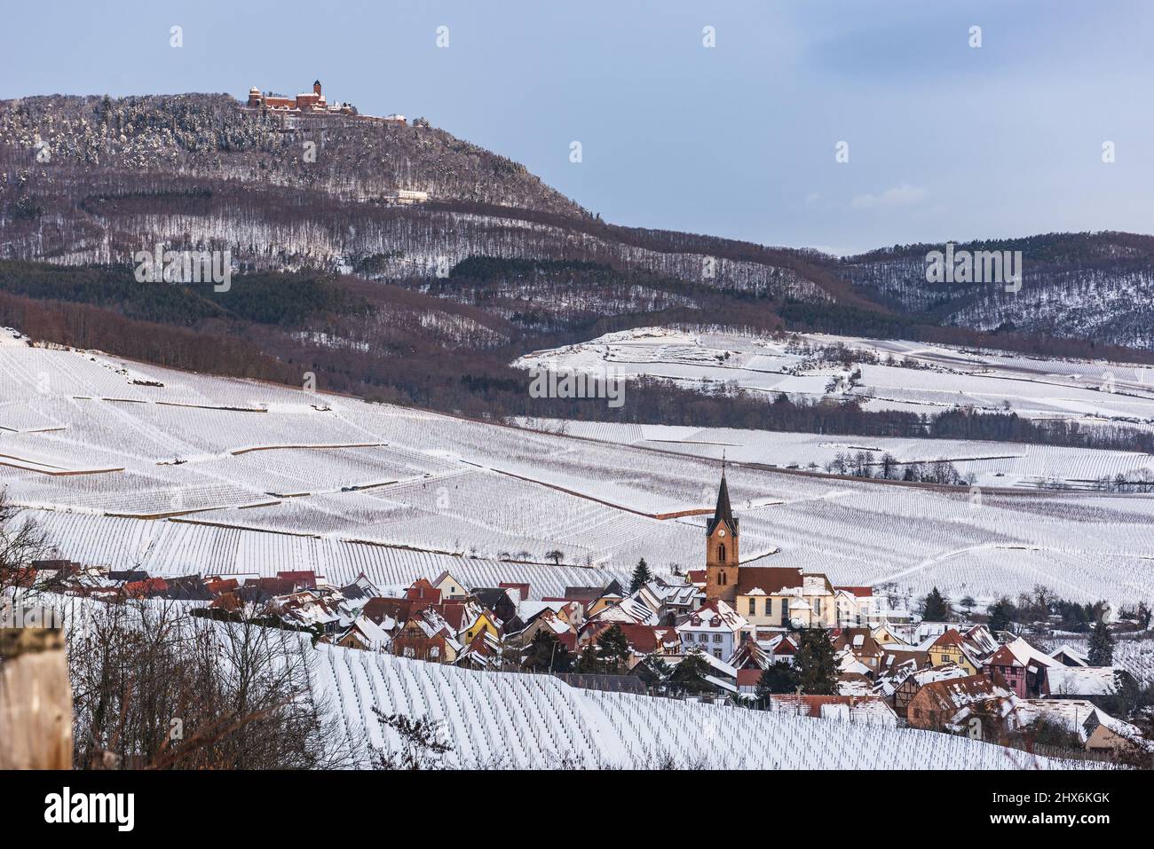 Alsace vineyard winter hi-res stock photography and images - Alamy