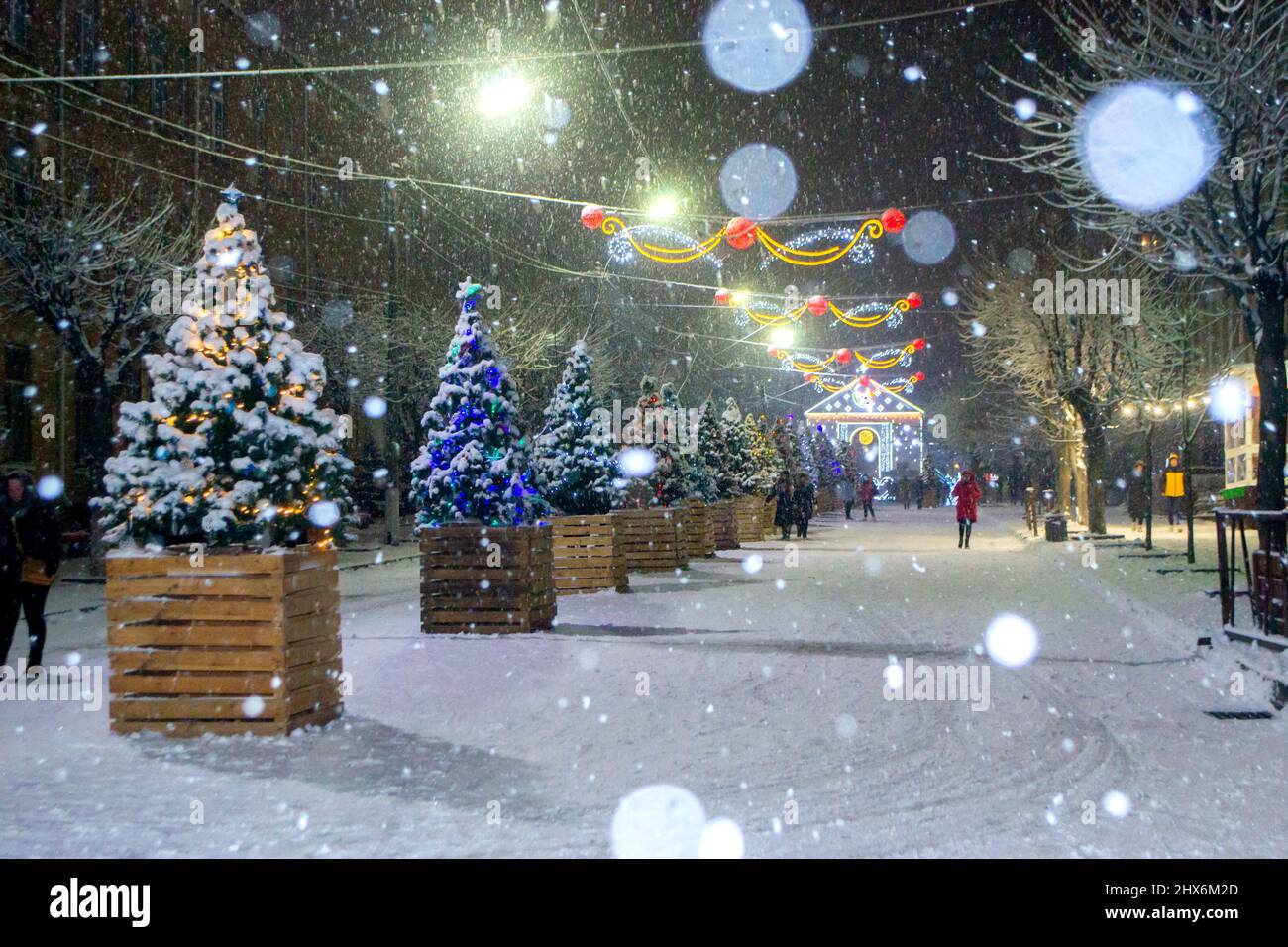 City street during snowfall at winter night. Beautiful illumination ...
