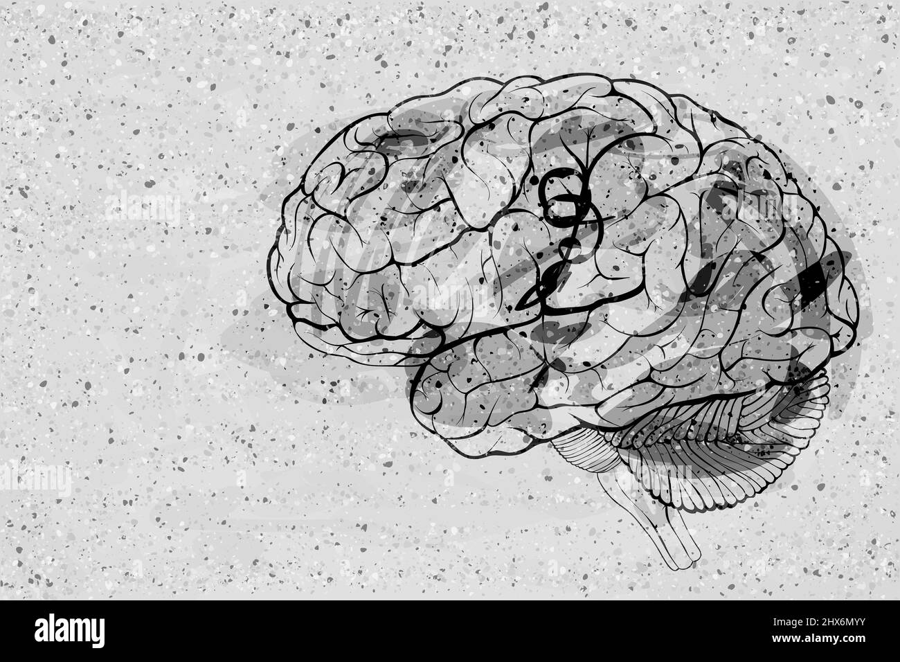 Graffiti grungy style human brain on concrete wall surface Stock Photo ...