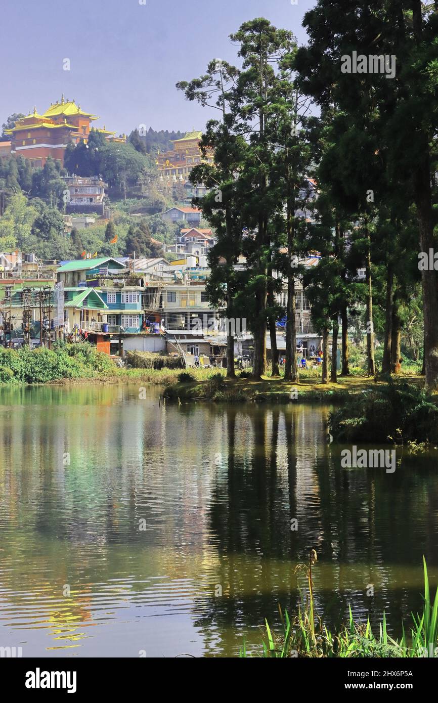 scenic mirik lake surrounded by pine forest at mirik hill station near ...