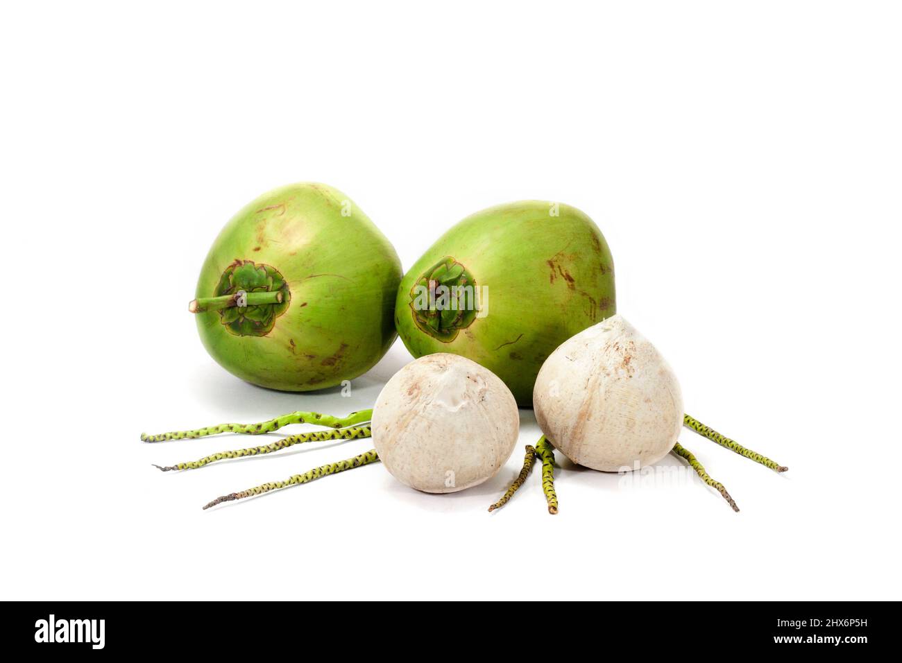 coconut on white background Stock Photo - Alamy