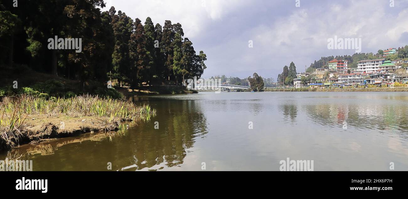 scenic mirik lake surrounded by pine forest at mirik hill station near ...
