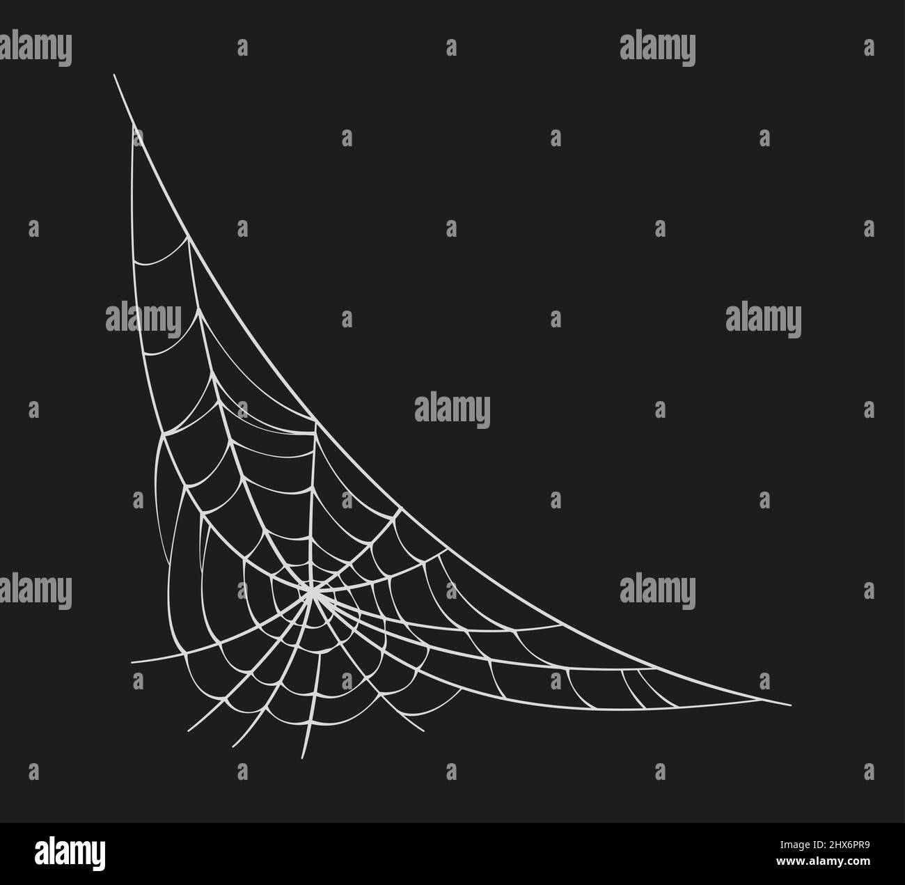 Scary spider web. White cobweb silhouette isolated on black background ...
