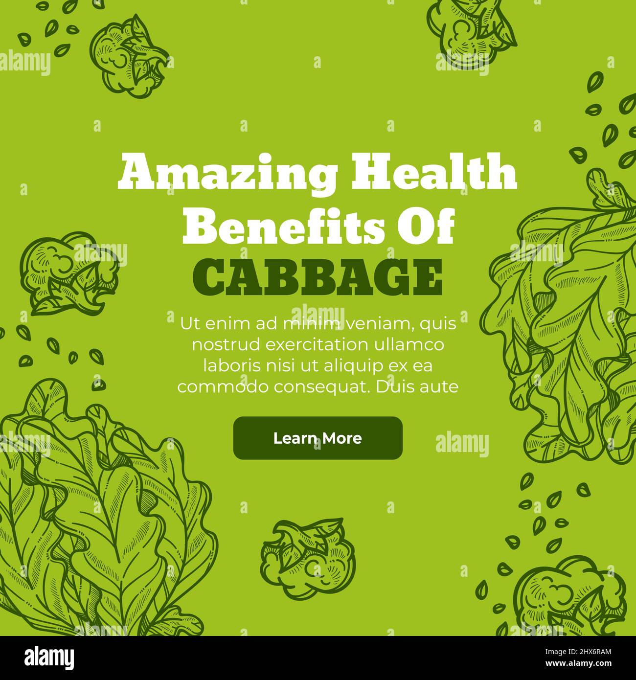 Amazing health benefits of cabbage, website shop Stock Vector Image ... Amazing health benefits of cabbage, website shop Stock Vector Image ...