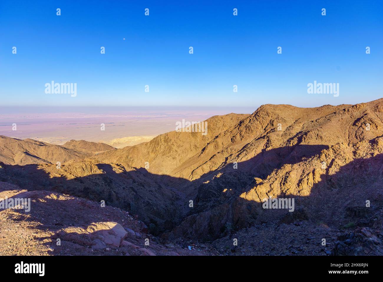 In the arabah desert hi-res stock photography and images - Alamy
