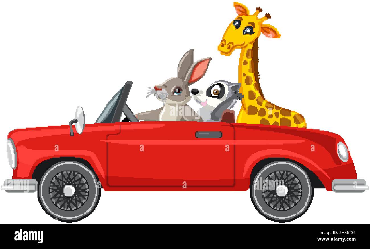 Cartoon animals in classic car on white background illustration Stock ...