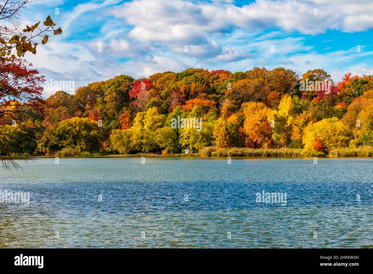 Fall foliage prospect park hi-res stock photography and images - Alamy