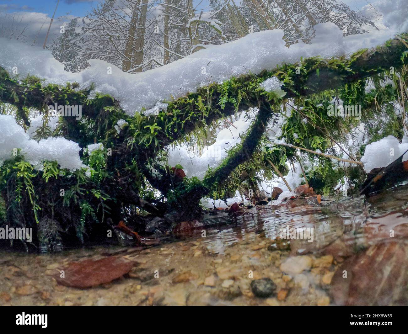 Winter with lots of snow in Bavaria is beautiful again every year Stock ...