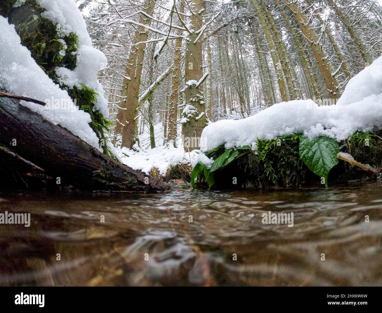 Winter with lots of snow in Bavaria is beautiful again every year Stock ...