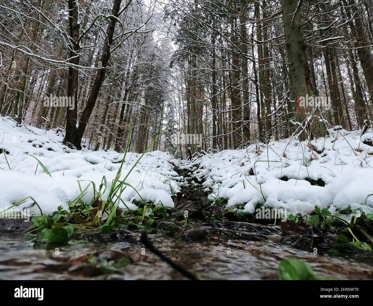 Winter with lots of snow in Bavaria is beautiful again every year Stock ...