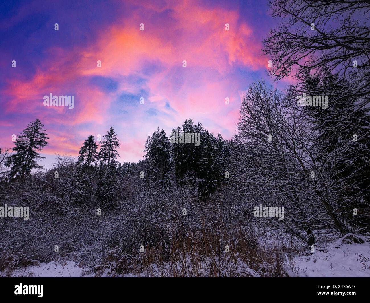 Winter with lots of snow in Bavaria is beautiful again every year Stock ...