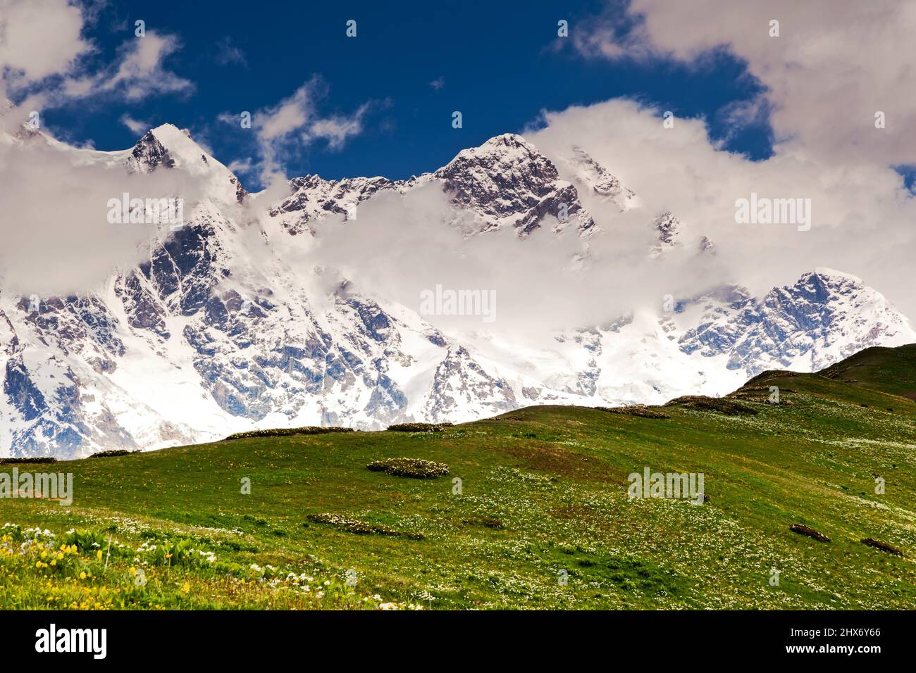 Alpine meadows with dramatic sky at the foot of Mt. Shkhara. Upper ...