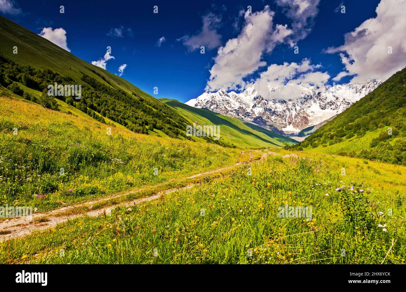 Alpine meadows at the foot of Mt. Shkhara. Upper Svaneti, Georgia ...