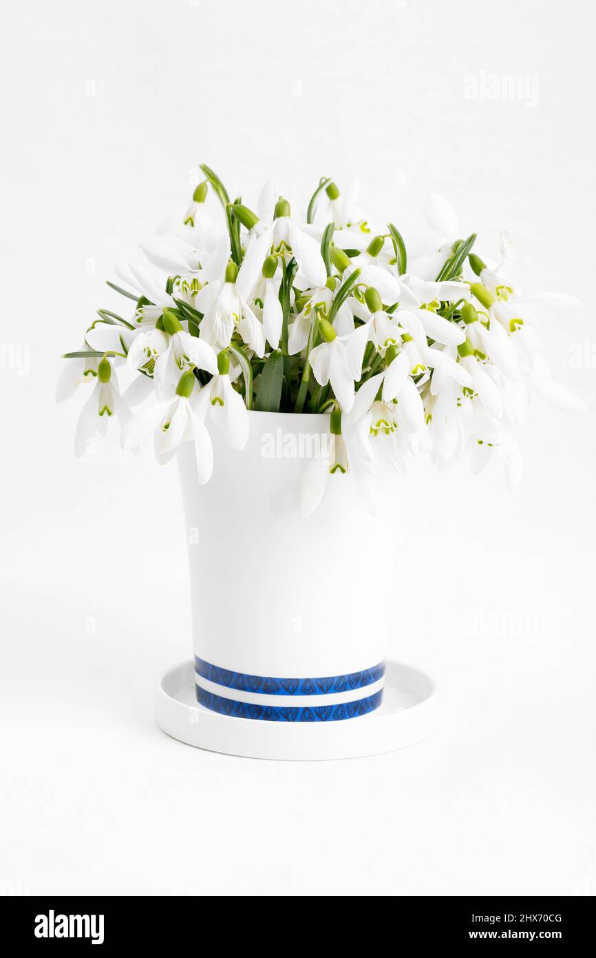 Bushel of flowers hi-res stock photography and images - Alamy