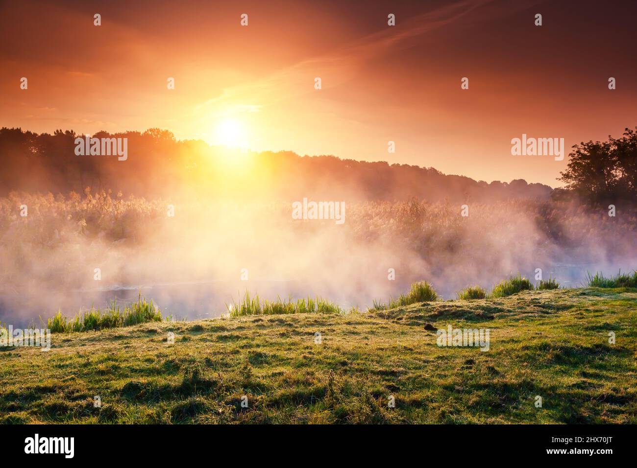 Fantastic foggy river with fresh green grass in the sunlight. Sun beams ...