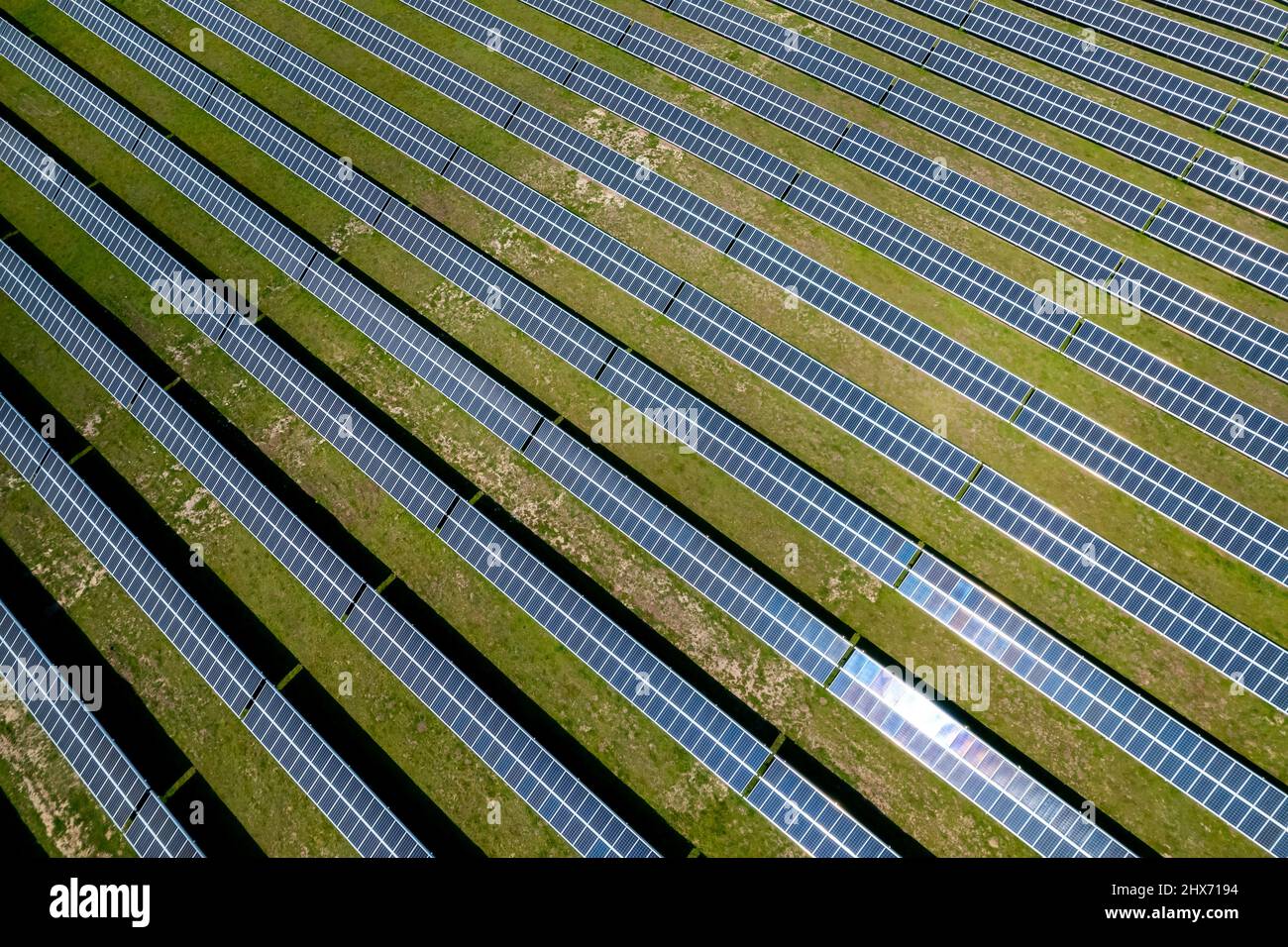 Aerial top view of solar panels on sunny day, power farm producing ...