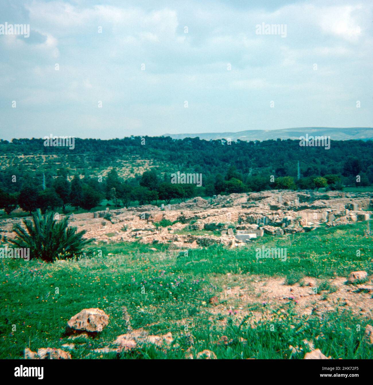 View on Djebel Oust - Roman ruins of a sanctuary, termal baths and ...