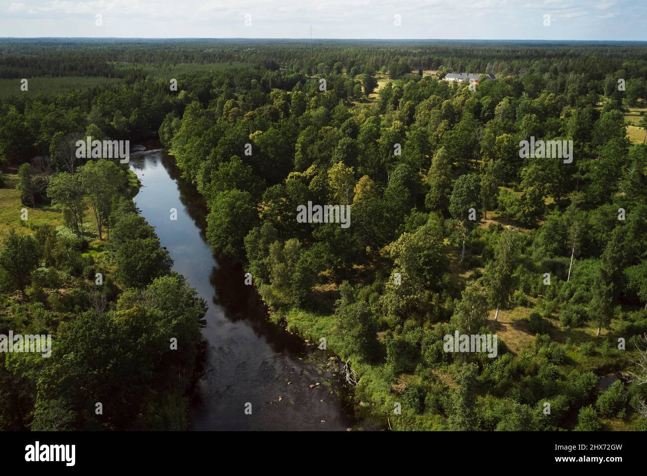 Aerial view of river and forest Stock Photo - Alamy