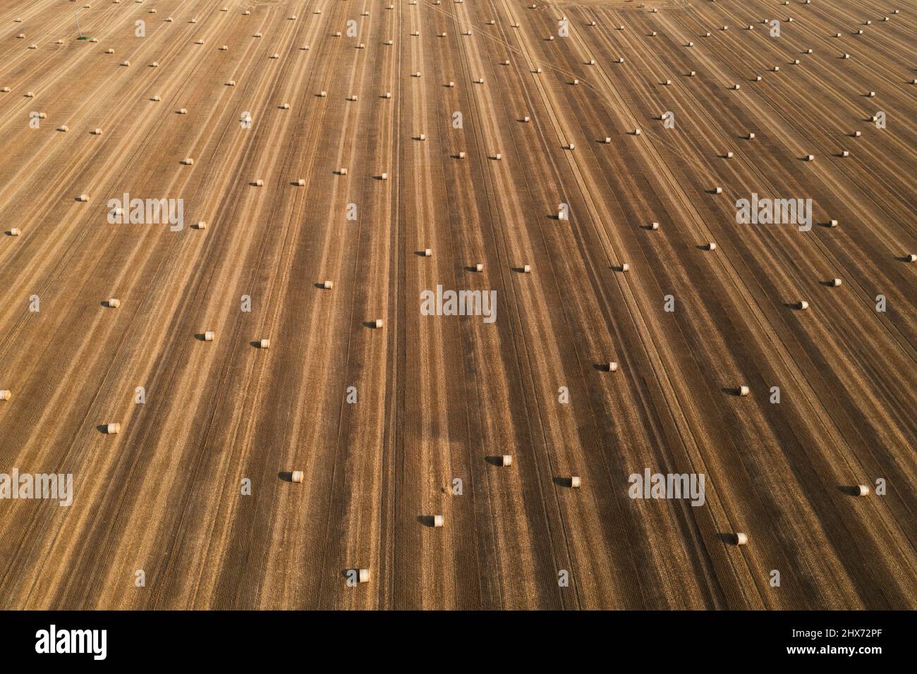Aerial view of wheat field Stock Photo - Alamy
