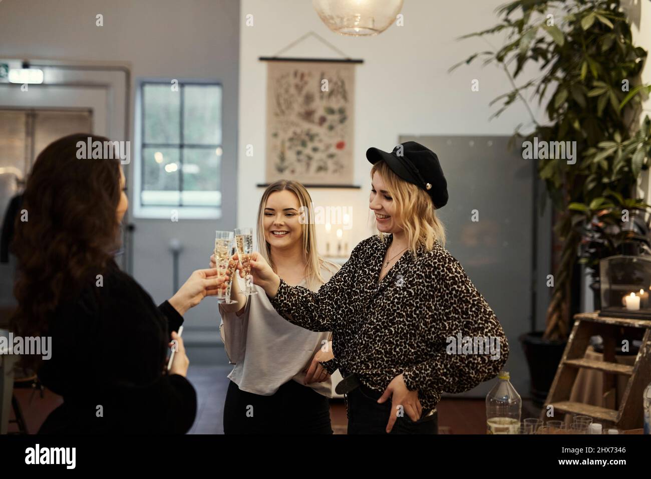 Women having toast in cafe Stock Photo - Alamy