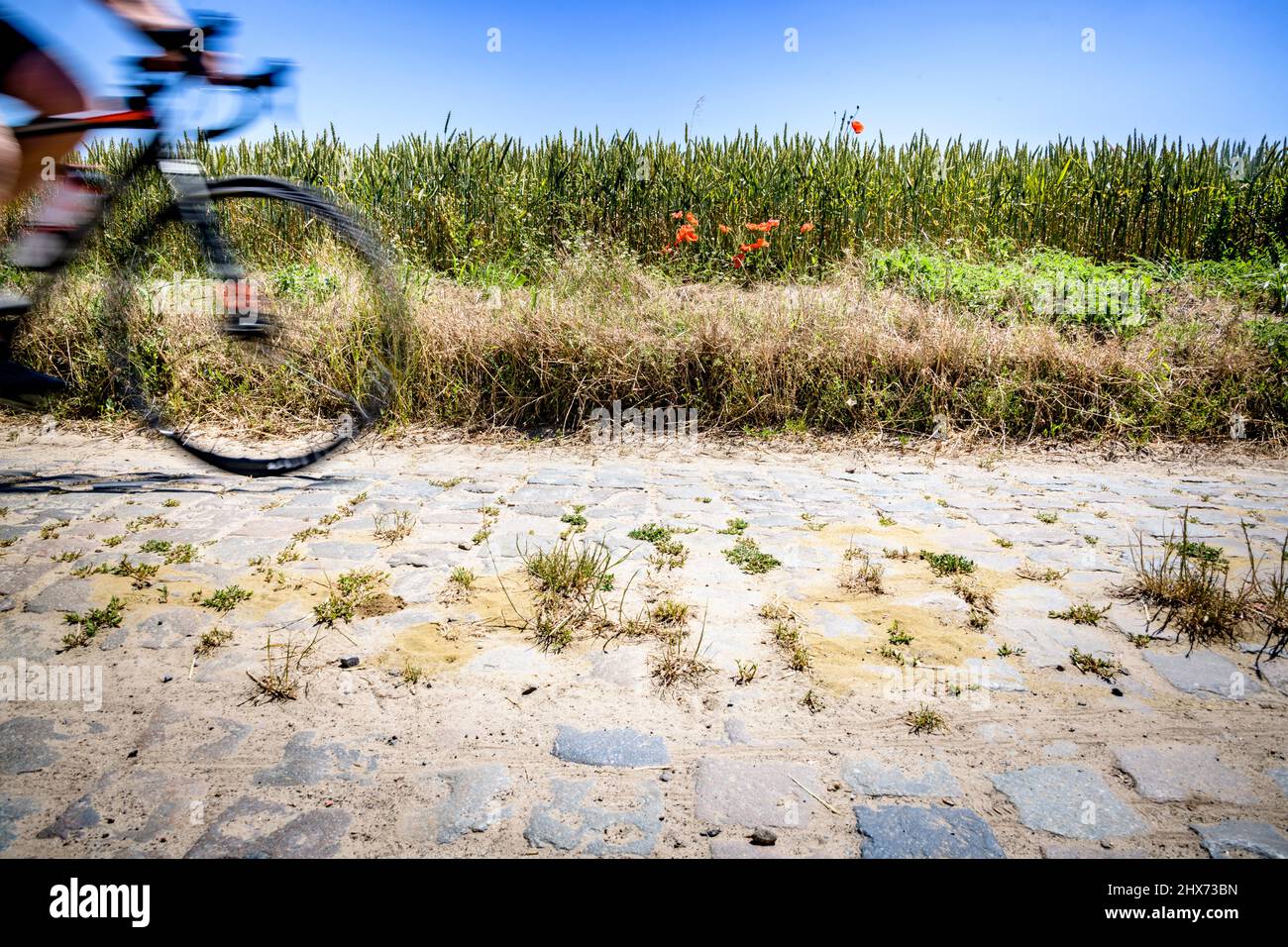 Cobblestone race hi-res stock photography and images - Alamy