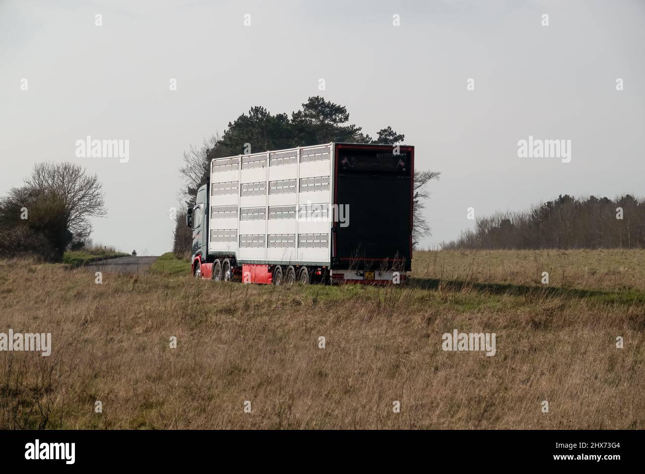 Back and side view of silver ventilated articulated trailer lorry ...